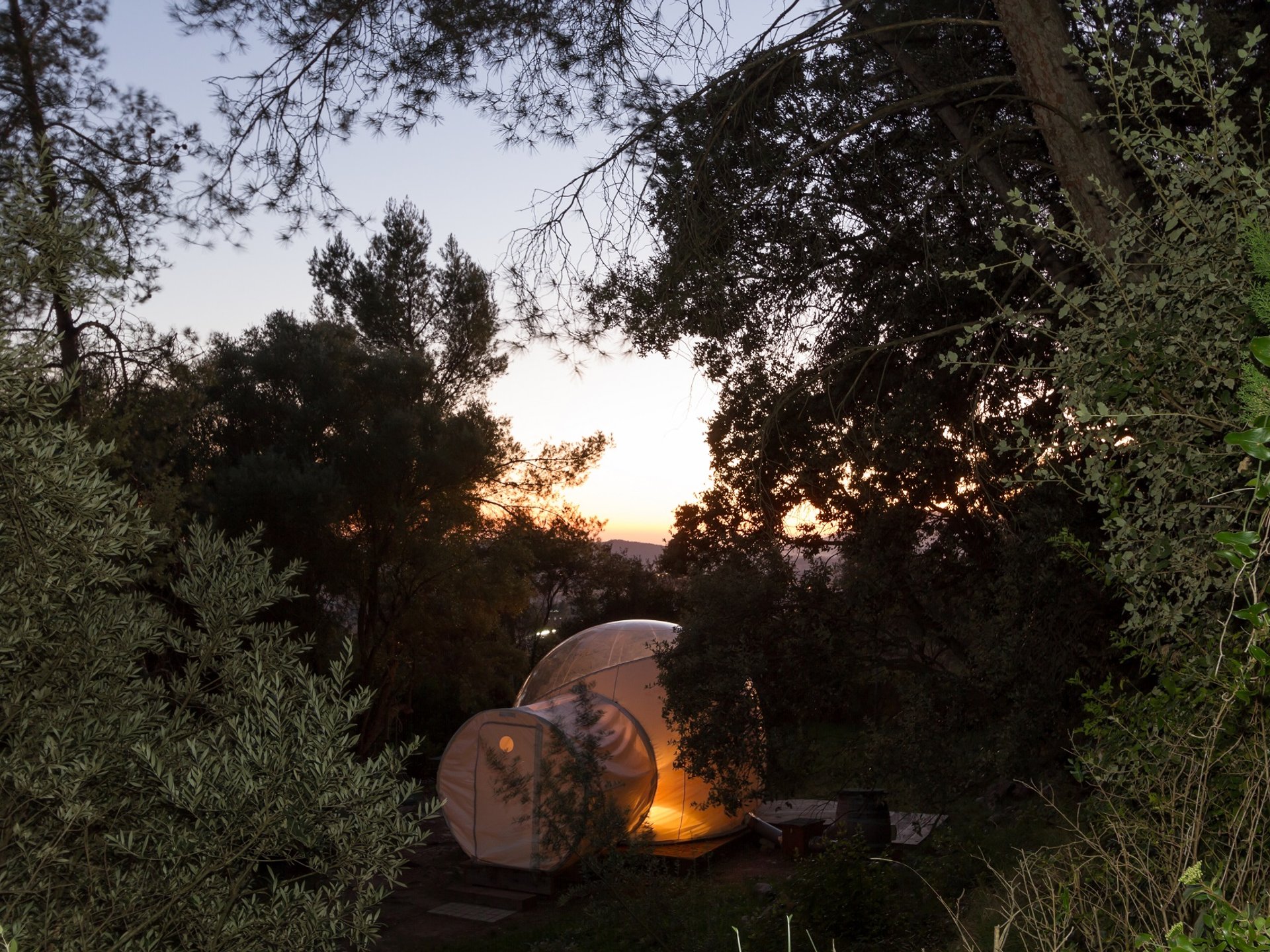 Bulle Liberty - Provence-Alpes-Côte d'Azur (PACA)